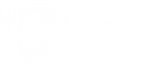 Bienvenue au Château de Nérac - Château-musée Henri IV
